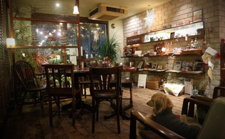 まったり過ごせる用賀のおしゃれカフェ【厳選5箇所】 | hanedablog